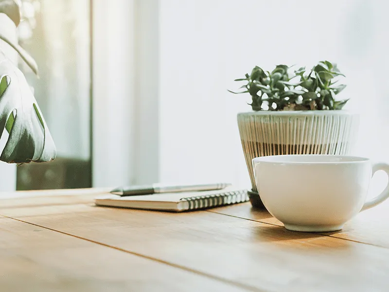 Why a hydroxyl generator like Pyure is the best air purifier