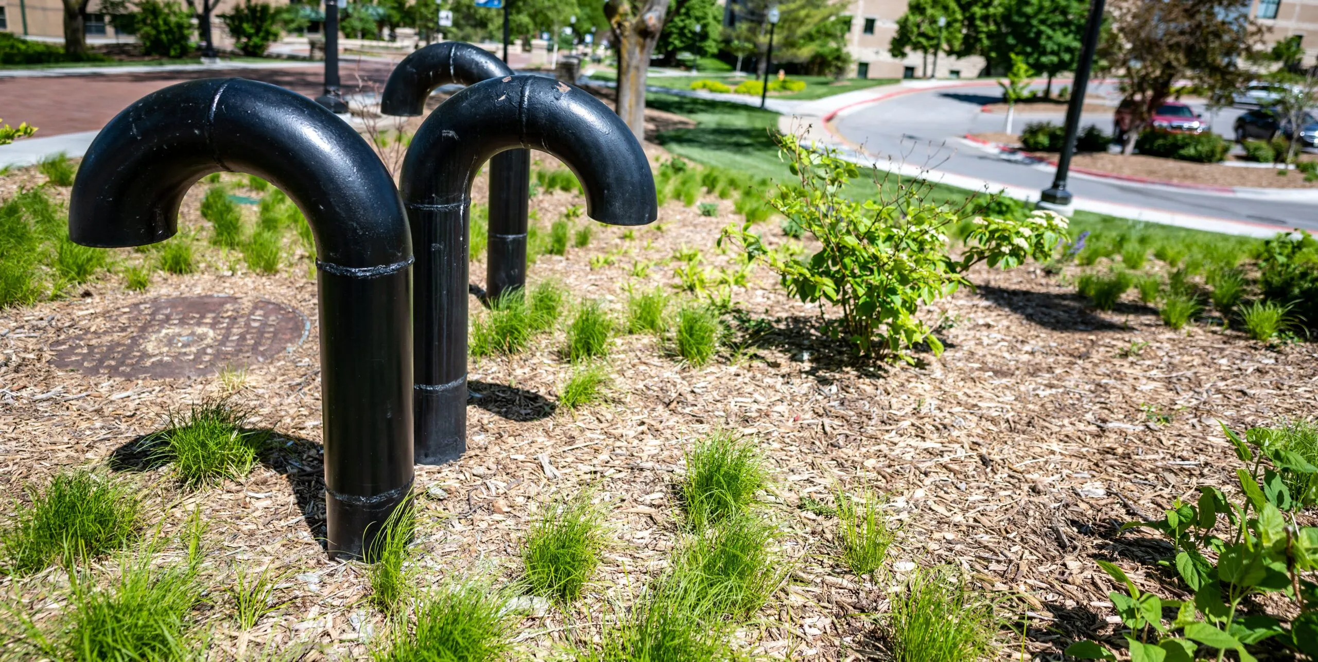 Why a hydroxyl generator like Pyure is the best air purifier