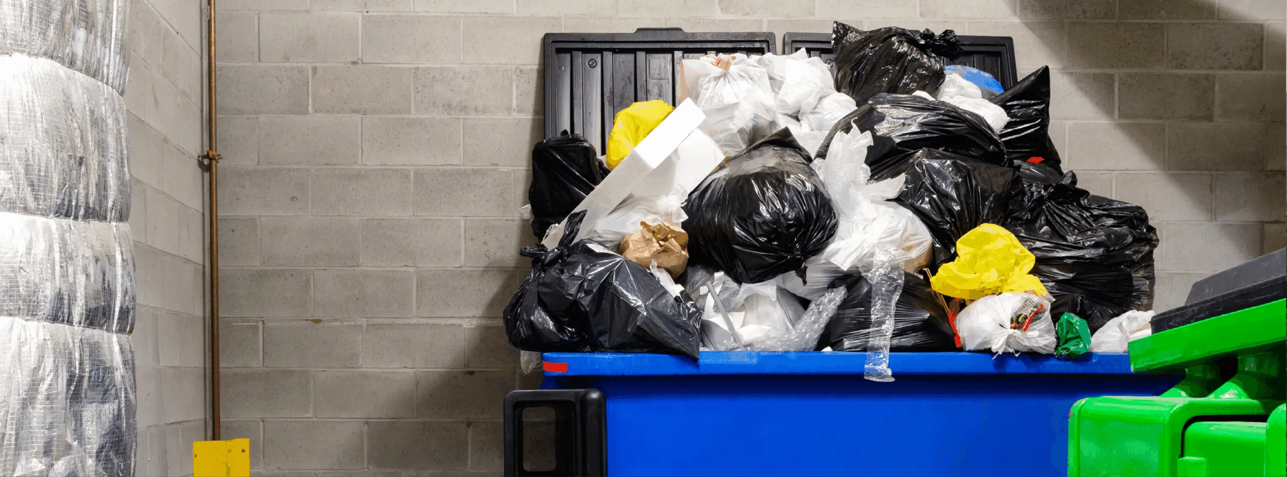 Mold Remediation After Water Damage - Pyure Dynamic Protection