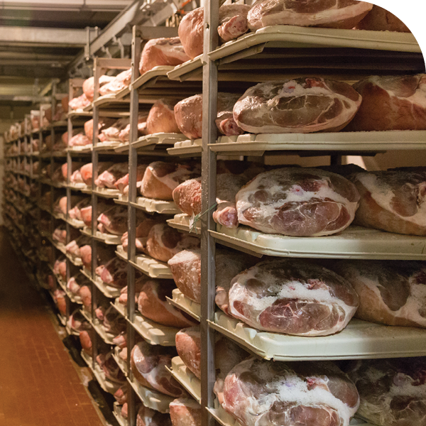 Food Processing Air Purification: Enhancing Food Safety and Quality
